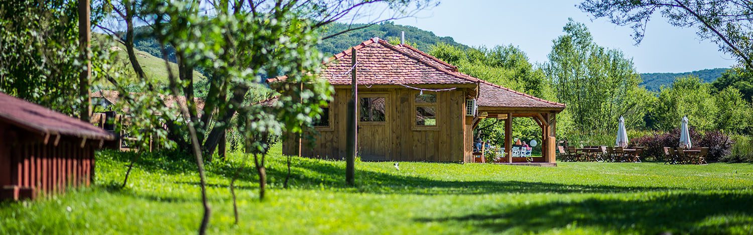 Grădina noastră - Valea Verde Retreat