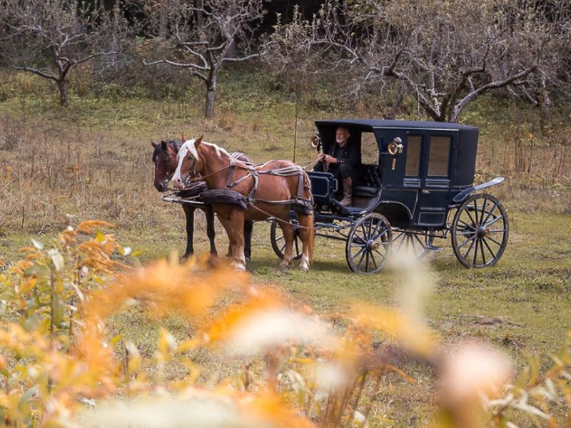 Oferte Valea Verde - Valea Verde Retreat