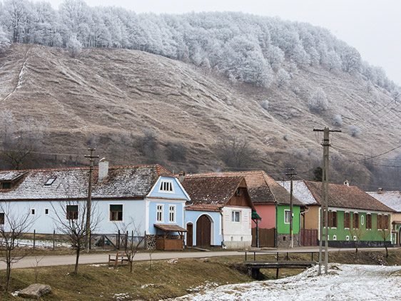 Experienţe autentice la Valea Verde - Valea Verde Retreat