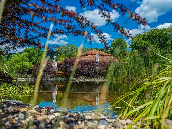 Oferte Valea Verde - Valea Verde Retreat