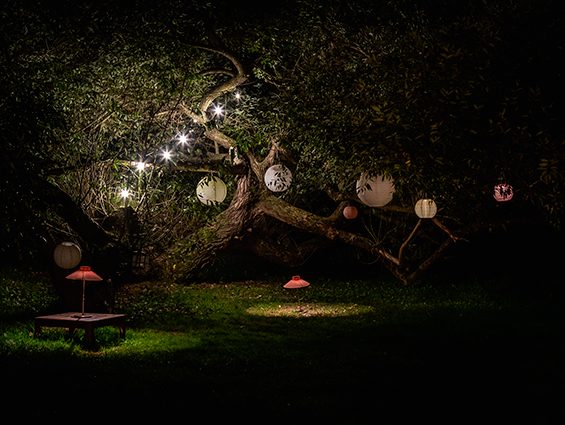 Board games - Valea Verde Retreat