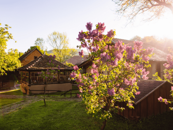 Valea Verde Retreat - Experimentează ospitalitatea autentică a unui sat ...