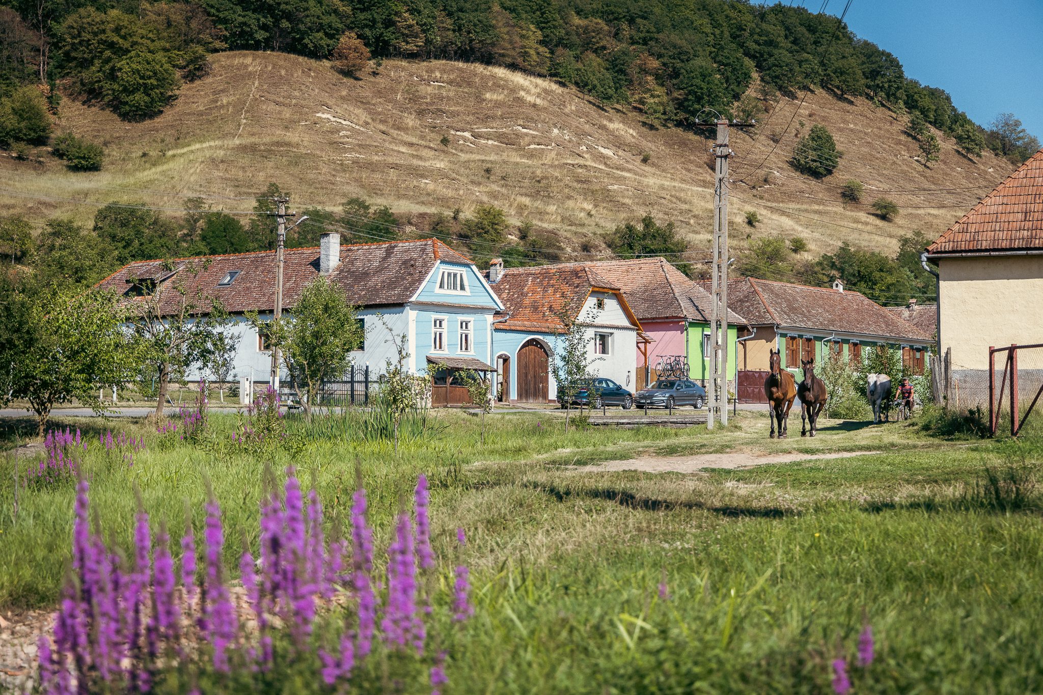 Oferte Valea Verde - Valea Verde Retreat