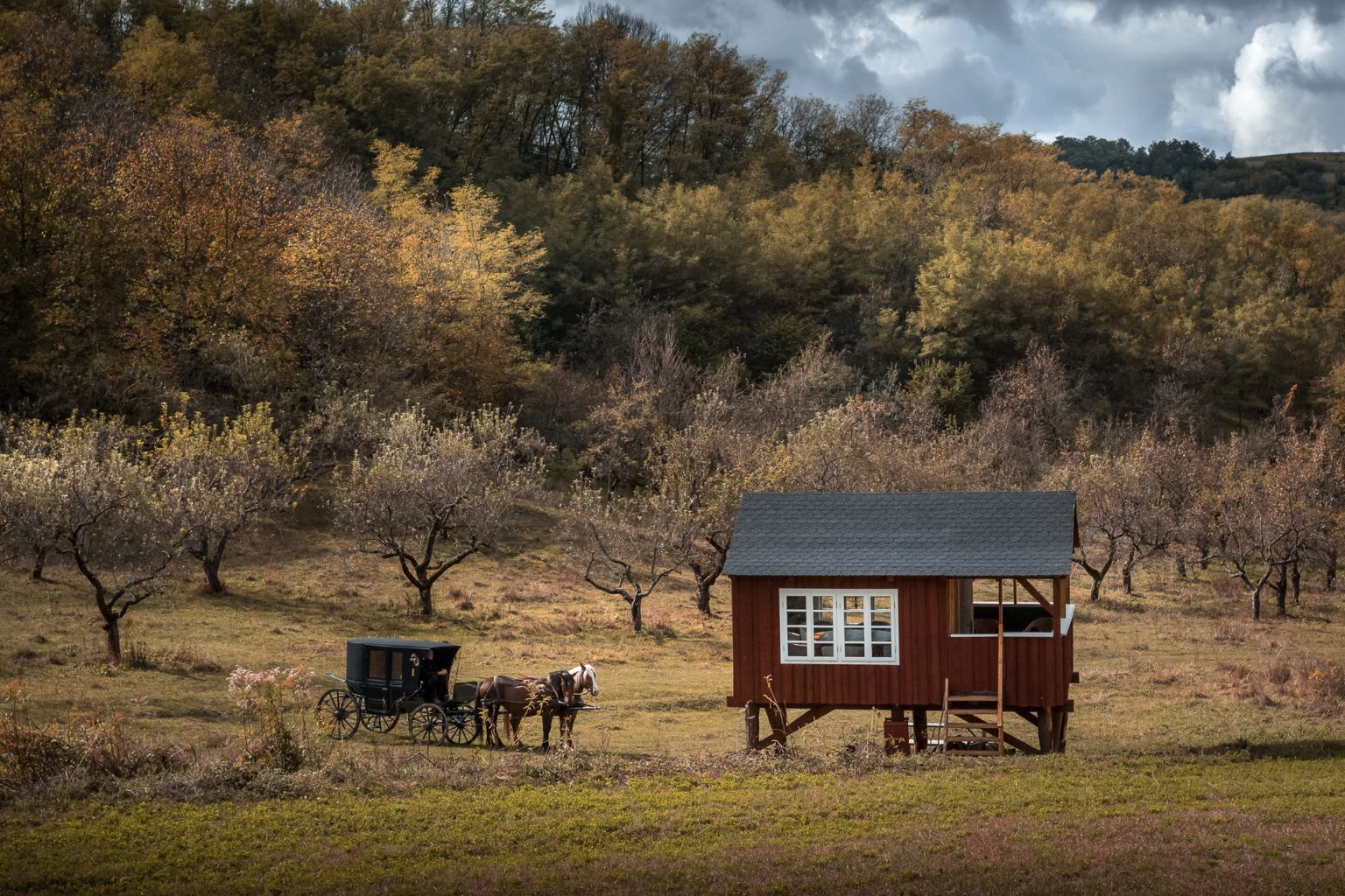 Totul despre Pestera Scarisoara