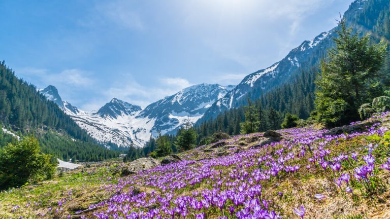 Romania’s Highest Mountain: Moldoveanu Peak Guide